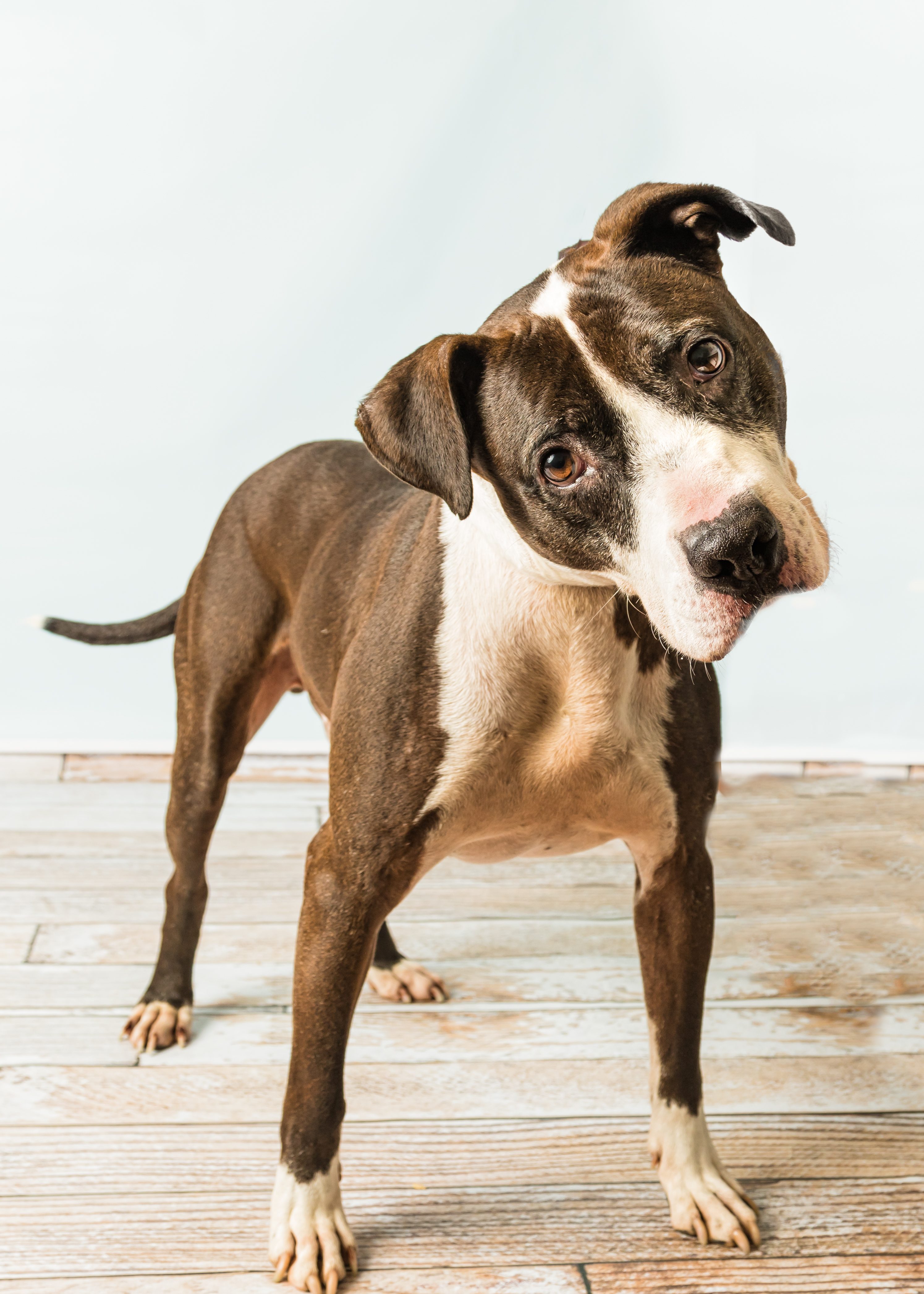 After waiting for almost a year... Noah still waits. - Blue Ridge ...