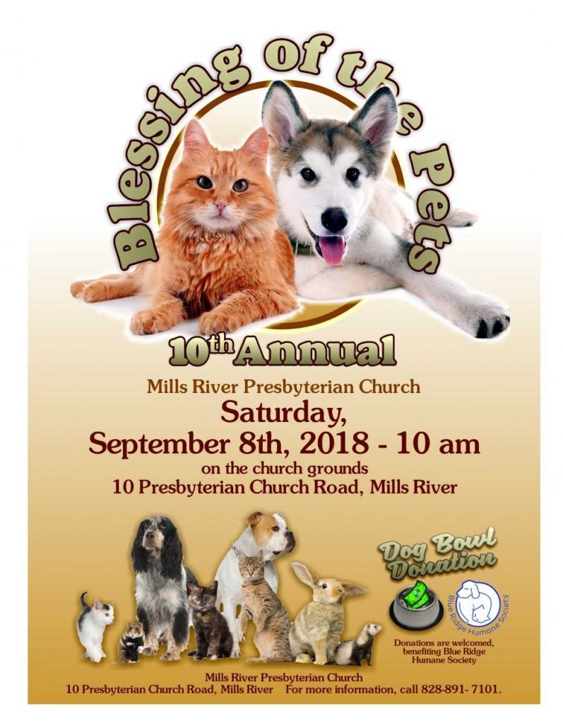 10th Annual Blessing of the Pets at Mills River Presbyterian Church ...