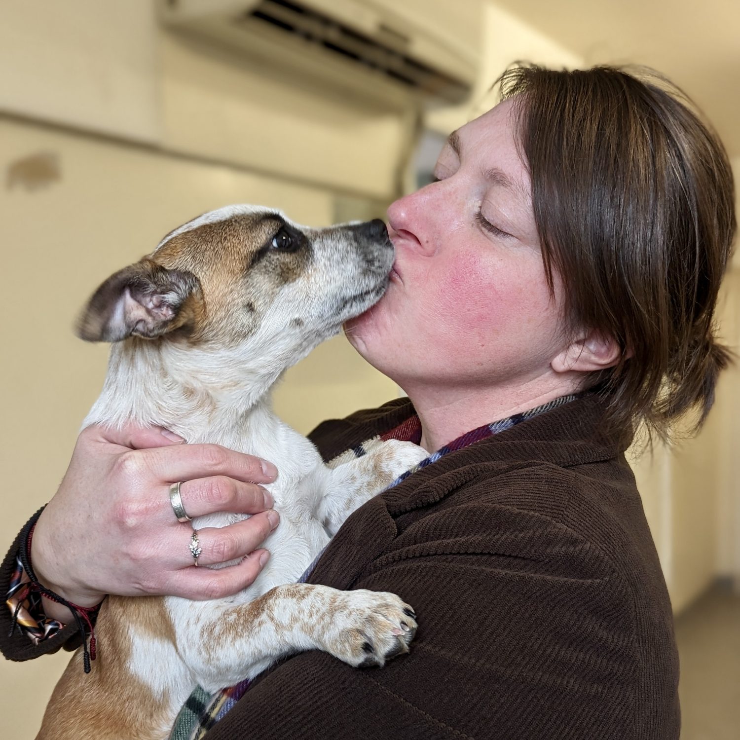 Celebrating Our Work Together - Blue Ridge Humane Society